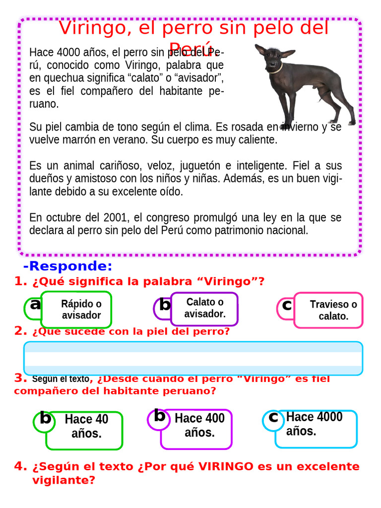 F. Viringo El Perro Sin Pelo Del Peru | PDF | Mamíferos como mascotas ...