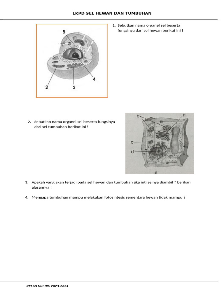 LKPD 1 Sel Hewan Dan Tumbuhan | PDF