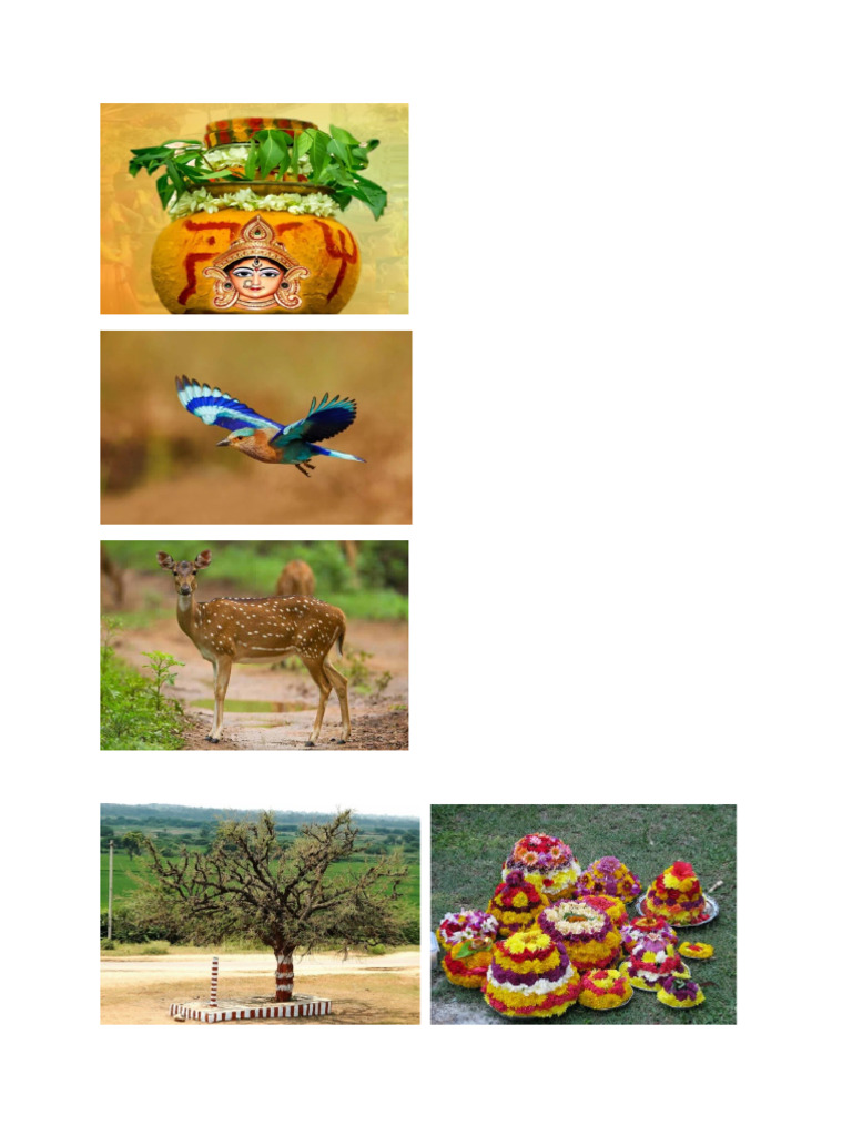 Telugu Idols Project | PDF