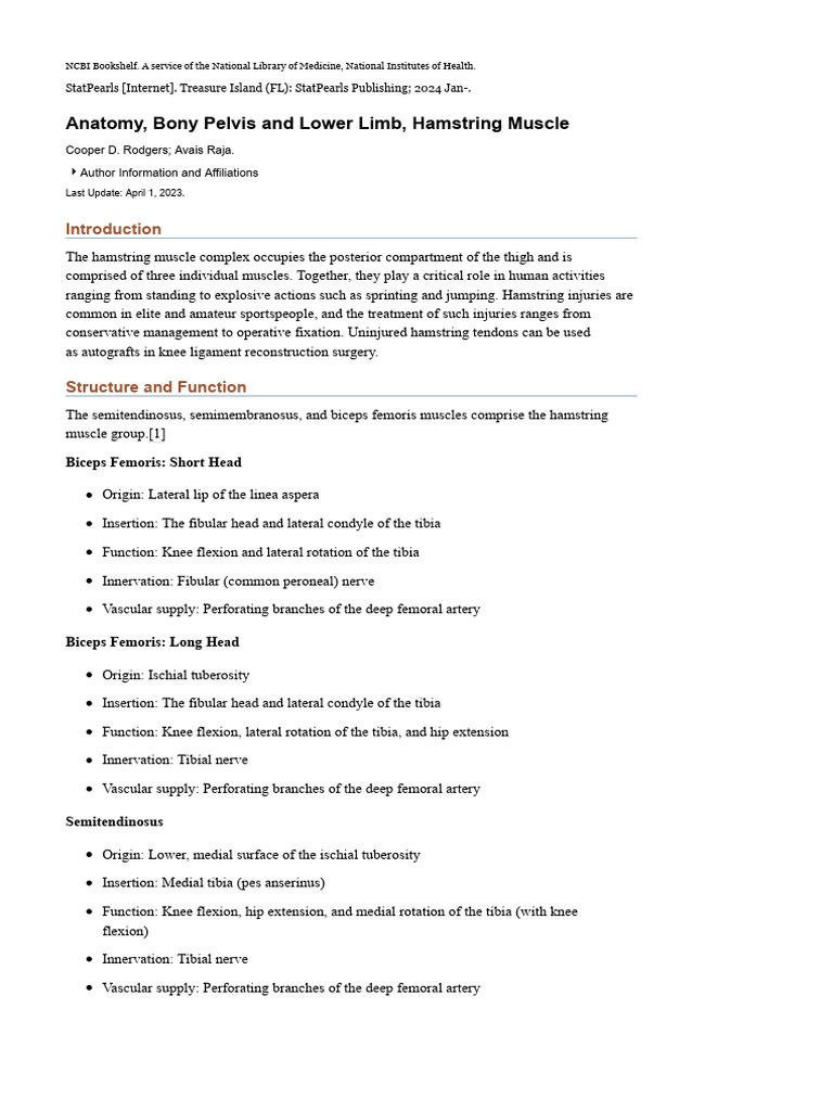 Anatomy, Bony Pelvis and Lower Limb, Hamstring Muscle - StatPearls ...
