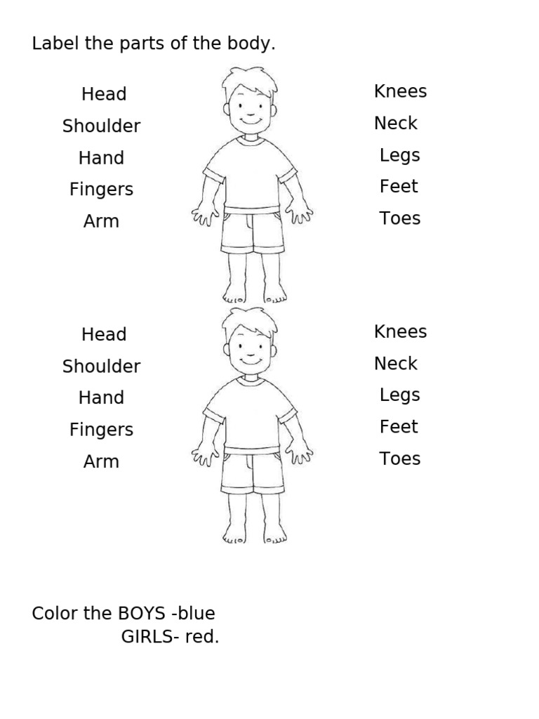Body Parts Labeling for Kids | PDF | Hand | Rectangle