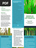 Pengendalian Penyakit Blas pada Padi | PDF