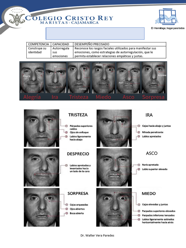 Sem 19 Rasgos Faciales de Las Emociones Basicas | PDF