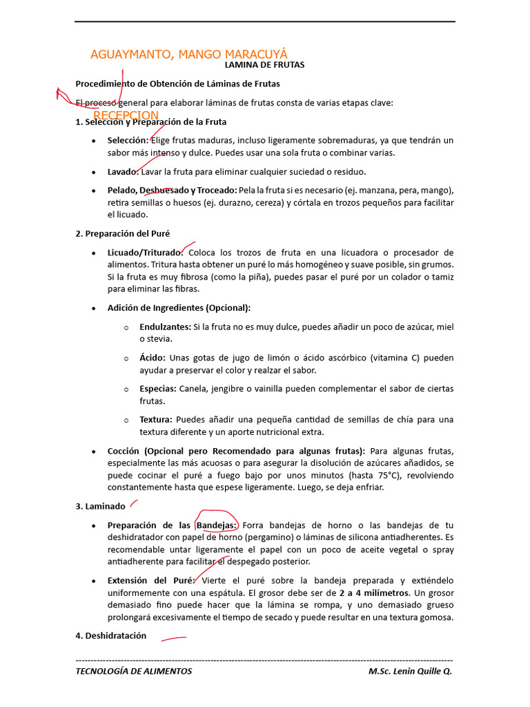 Elaboración de Láminas de Frutas | PDF | Fruta | Mango