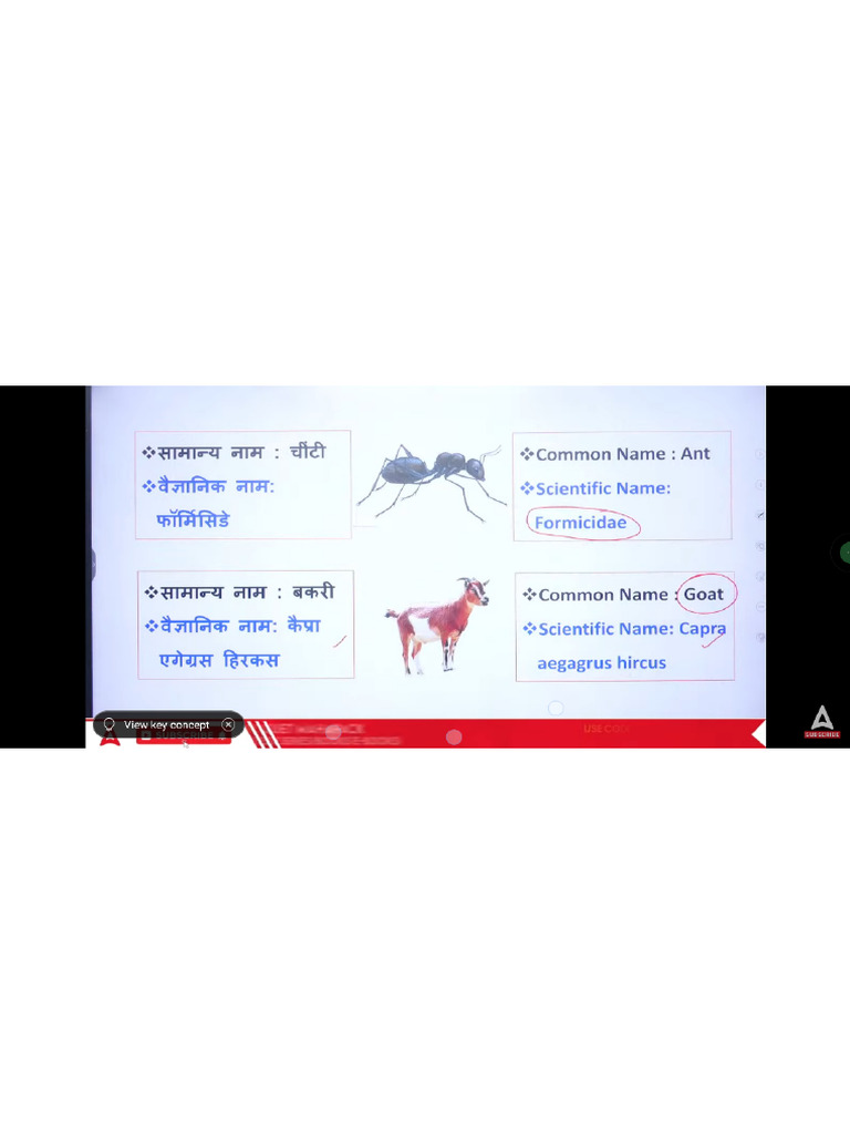 Scientific Namea | PDF