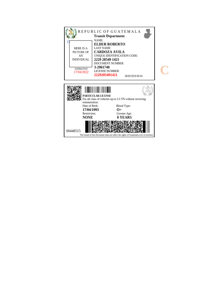 Guatemala Driver's License Details | PDF