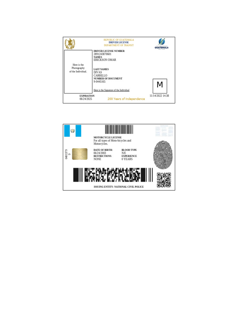 Guatemala Driver License Details | PDF