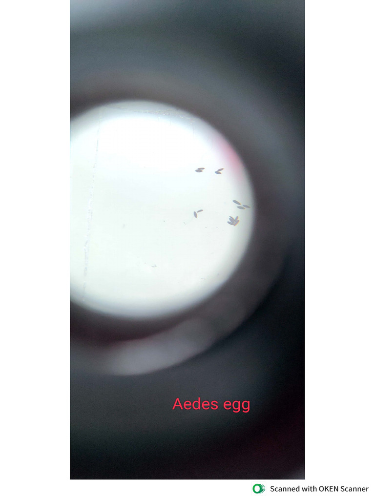 Entamology Part - 1.SPM | PDF