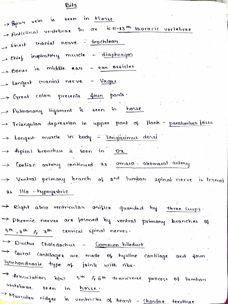 Anatomy 2nd Internal Bits | PDF | Skeletal System | Musculoskeletal System