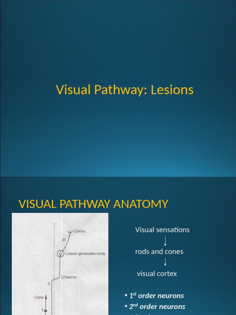 734 Visual Pathway Lesions | PDF | Visual System | Occipital Lobe