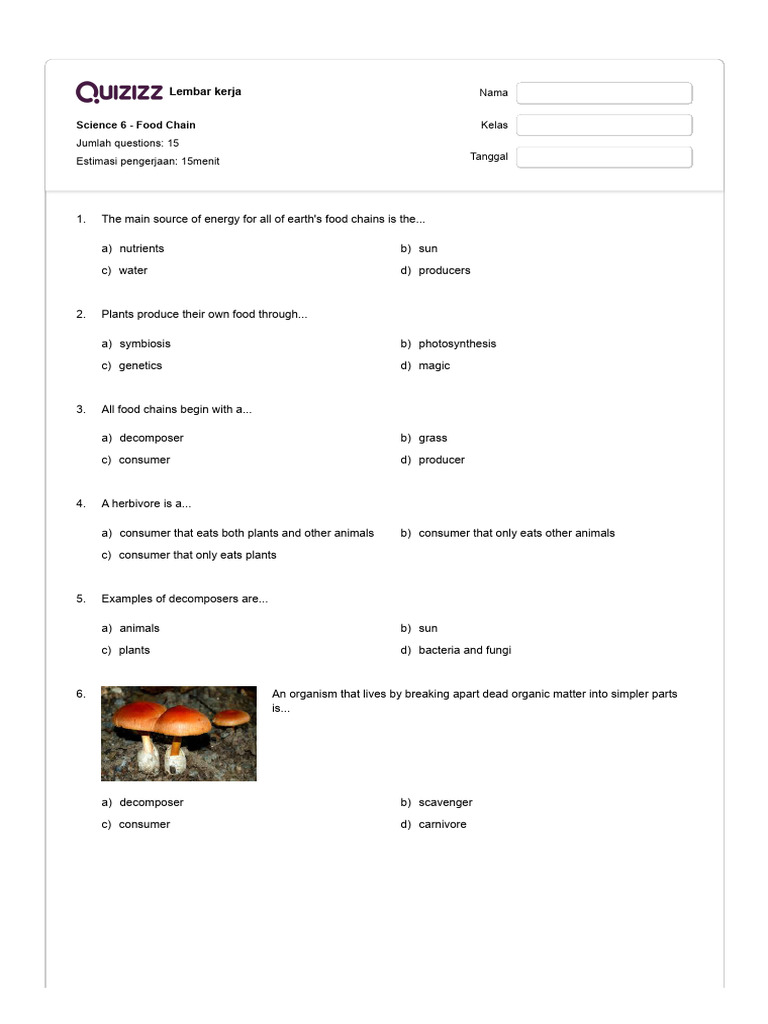 Food Chain Quiz for Grade 6 | PDF | Foods | Plants