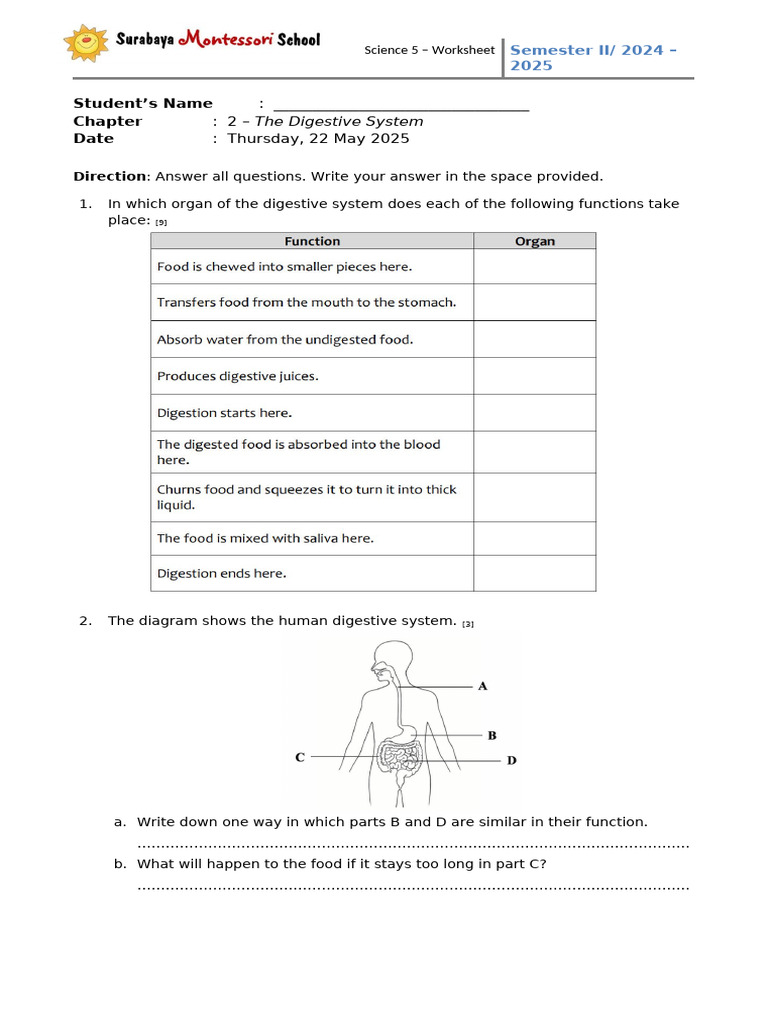 Science 5 WS Digestive System-2 | PDF