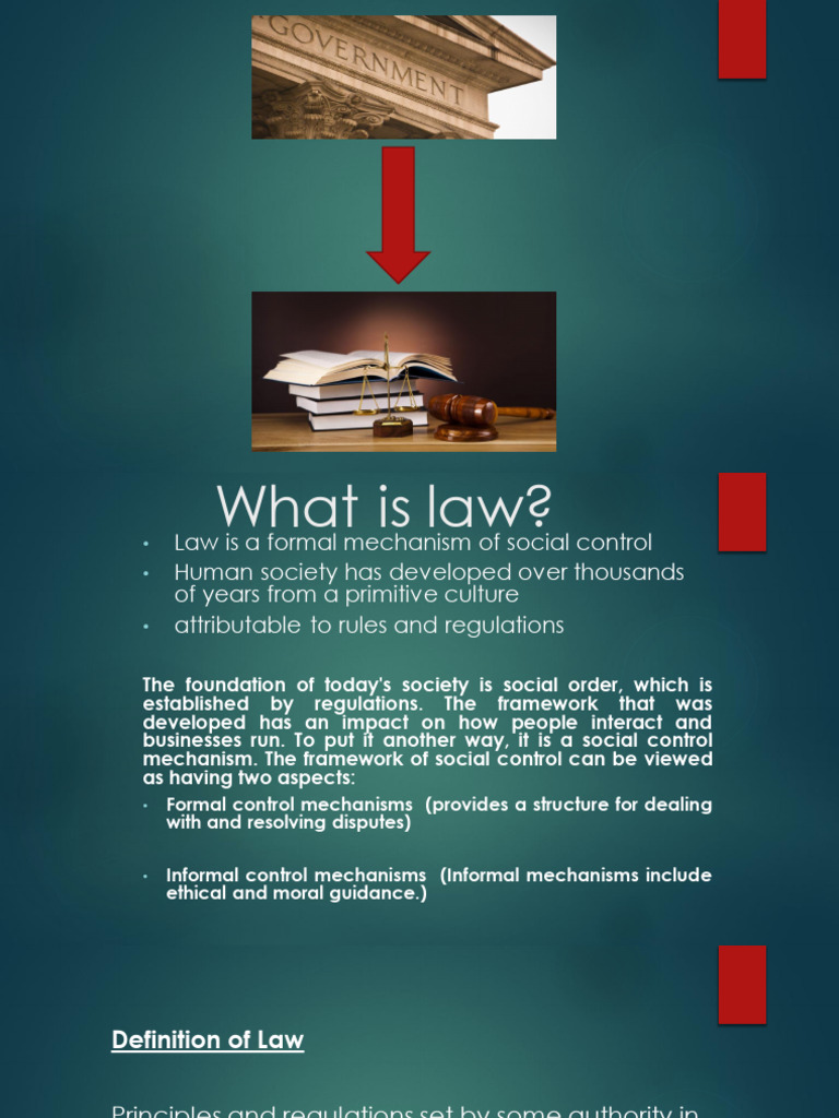 Understanding Law and Its Formation | PDF | Precedent | Burden Of Proof ...