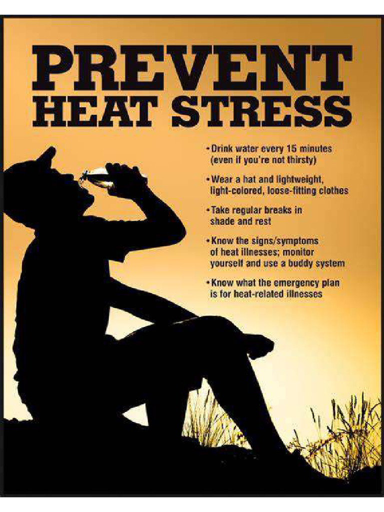 Heat Stress Signs | PDF