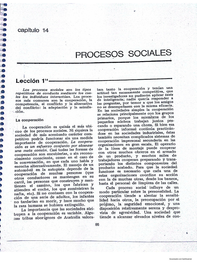 Procesos Sociales | PDF