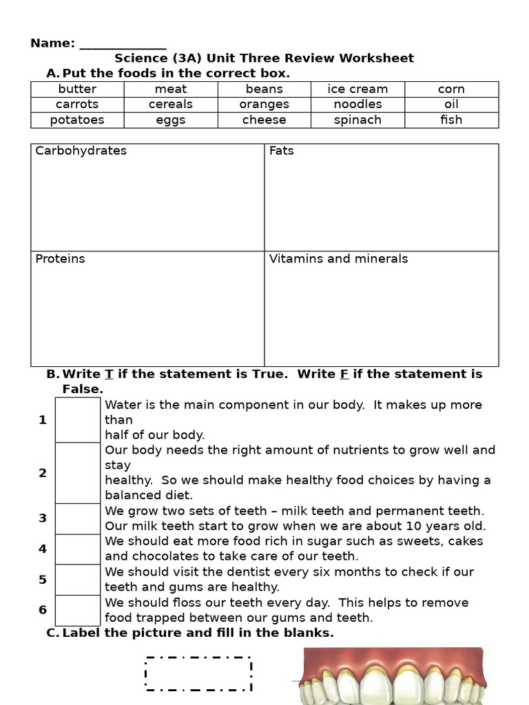 Nutritional Guide for Toothless Diets | PDF | Foods | Human Tooth