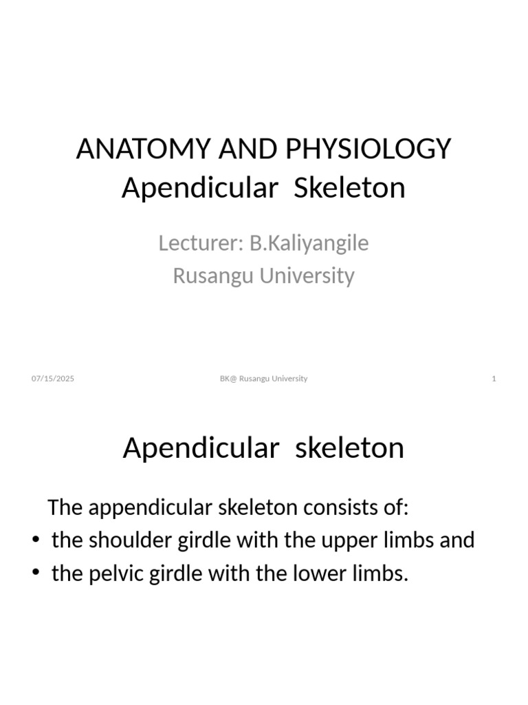 Appendicular Skeleton 3 | PDF | Anatomical Terms Of Motion | Foot