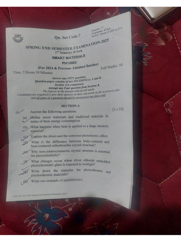 Final Exam Notes | PDF