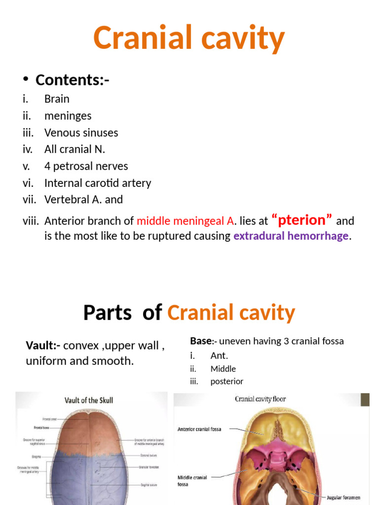 Cavernous Sinus Anatomy Overview | PDF | Vein | Human Head And Neck