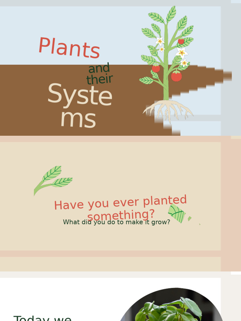 Plants and Their Systems Science Presentation in Light Brown Light Blue ...