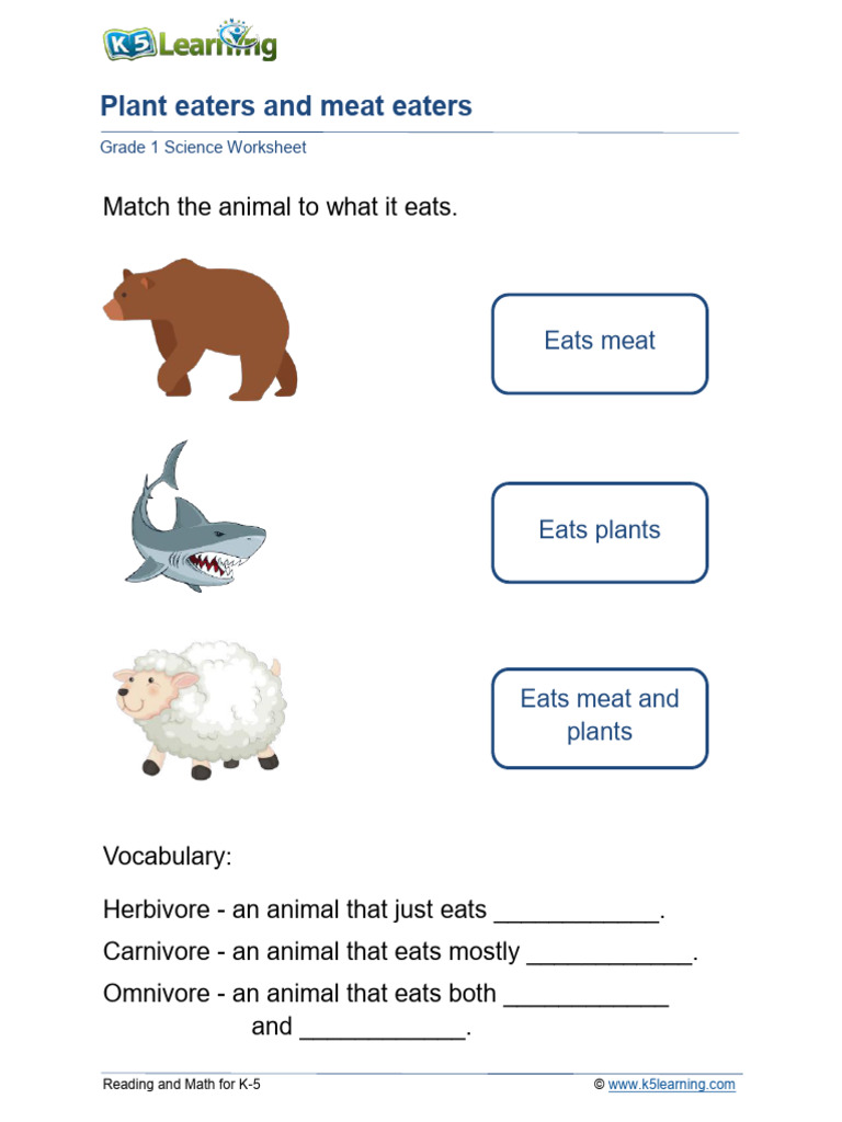 Grade 4 Meat Plant Eaters B | PDF
