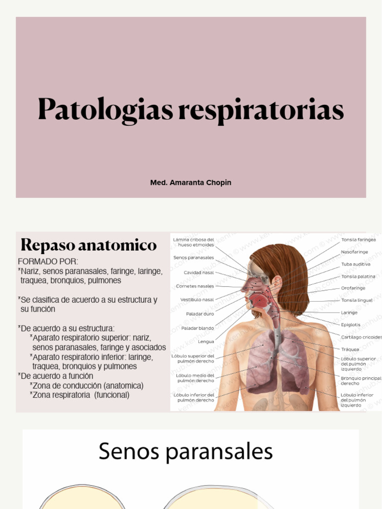 Patologias Respiratorias | PDF | Alergia | Especialidades Medicas