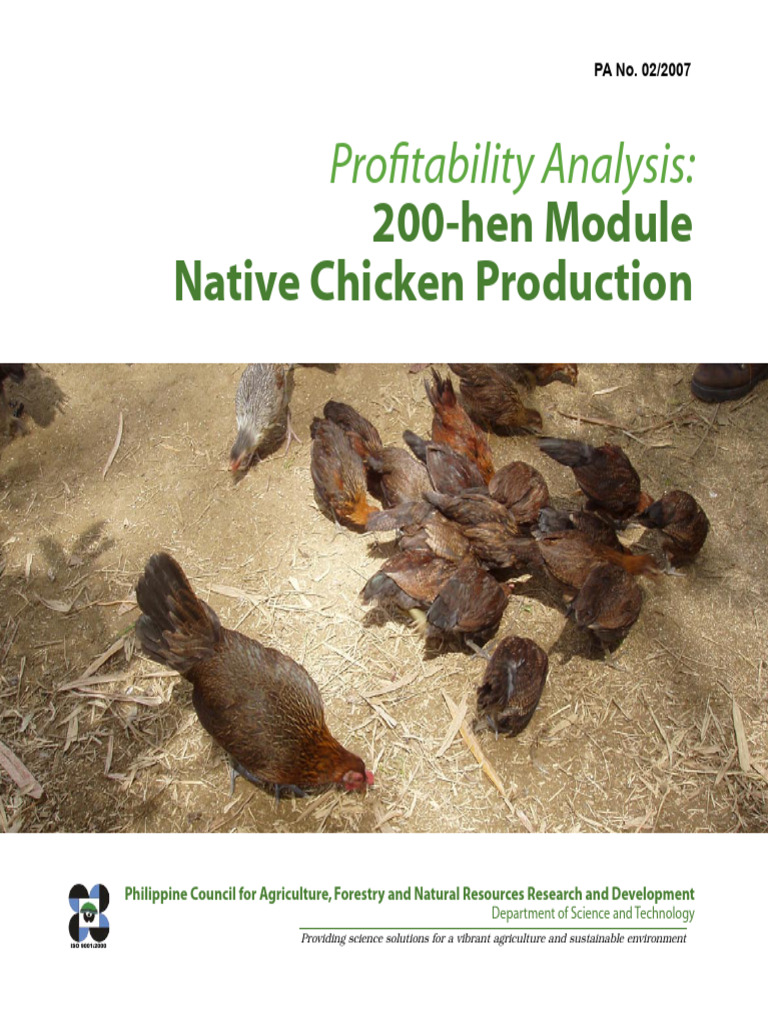 Profitability Analysis of Native Chicken Production | PDF | Net Income ...
