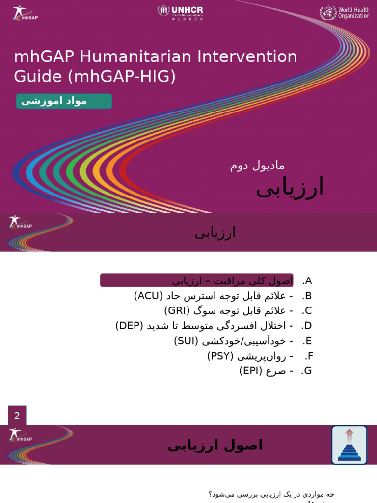 Mhgap Humanitarian Intervention Guide (Mhgap-Hig) | PDF