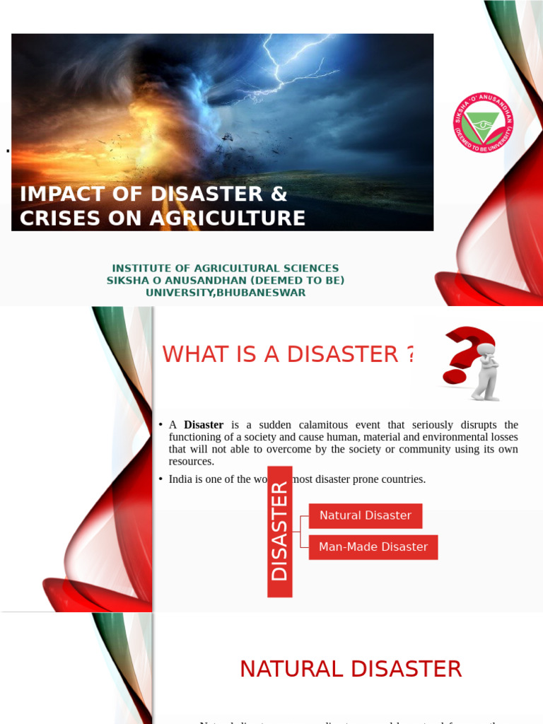 Effects of Disasters on Agriculture | PDF | Natural Disasters | Agriculture