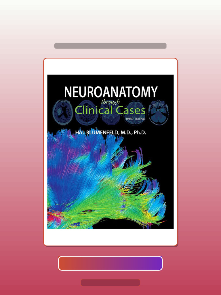 Neuroanatomy Through Clinical Cases 3rd Edition by Hal Blumenfeld | PDF ...