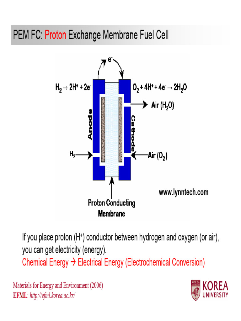 PEM Fuel Cells: Principles and Applications | PDF | Fuel Cell | Catalysis