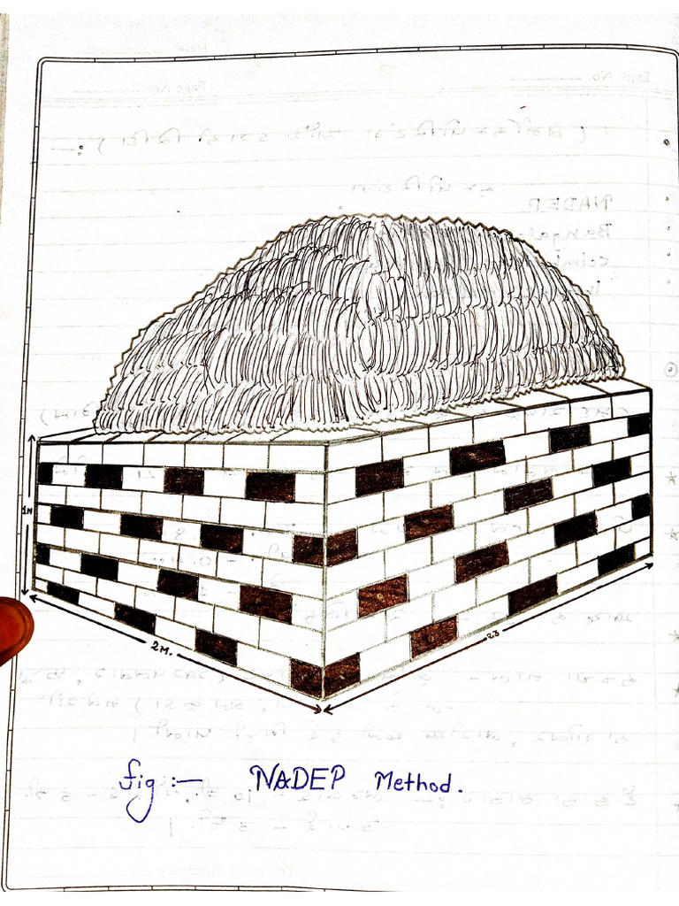 Odd1 NADEP METHOD | PDF