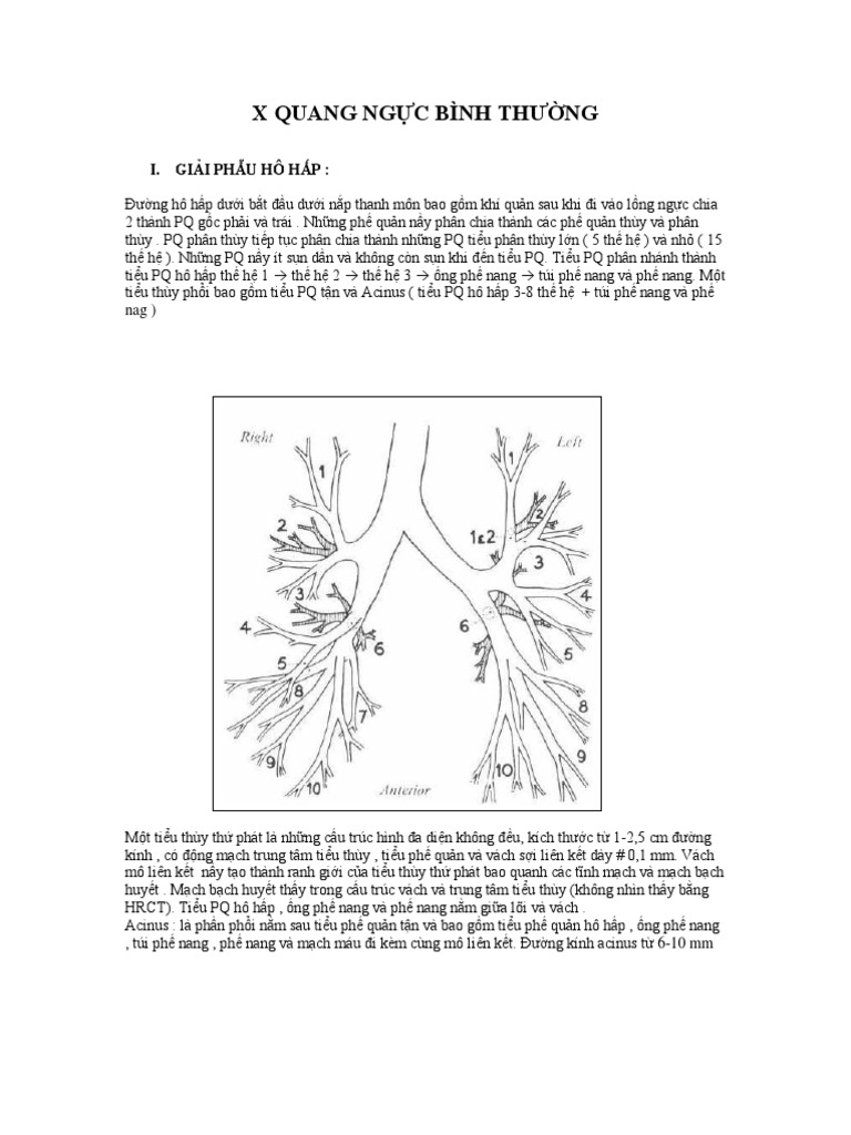 X Quang Nguc Binh Thuong Pgs. Tran Van Ngoc | PDF