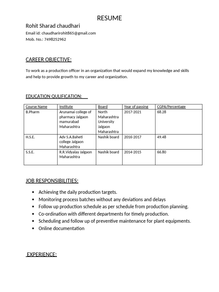 Rohit Chaudhari CV | PDF