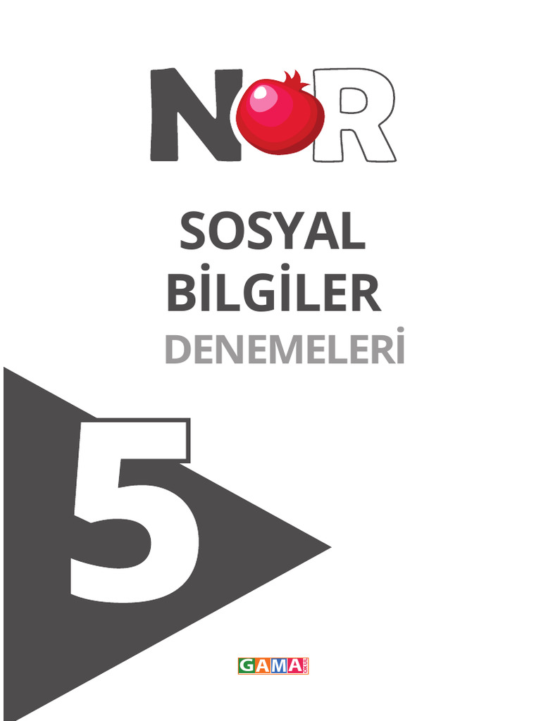 Nar 5 Sosyal Bi̇lgi̇ler Deneme-01 | PDF