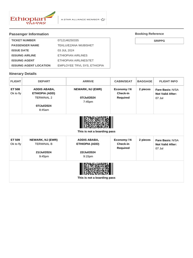 Teklu Busha Flight Itinerary Details | PDF