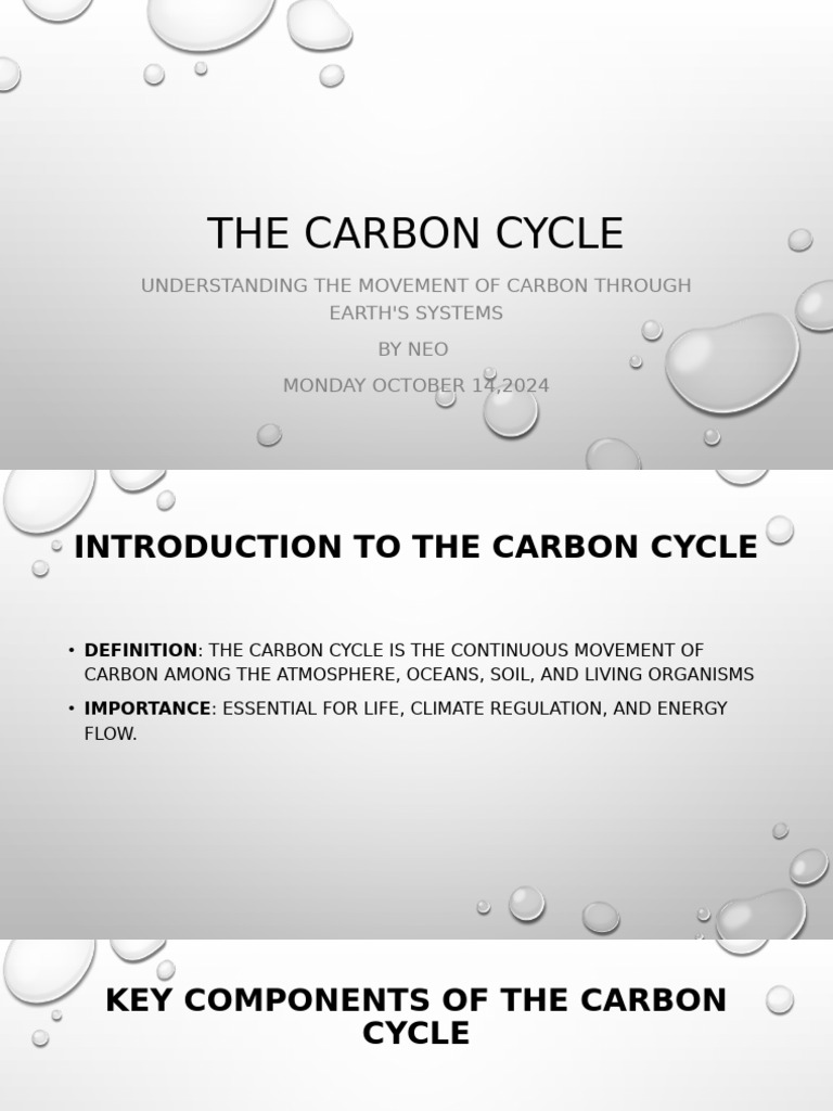The Carbon Cycle | PDF