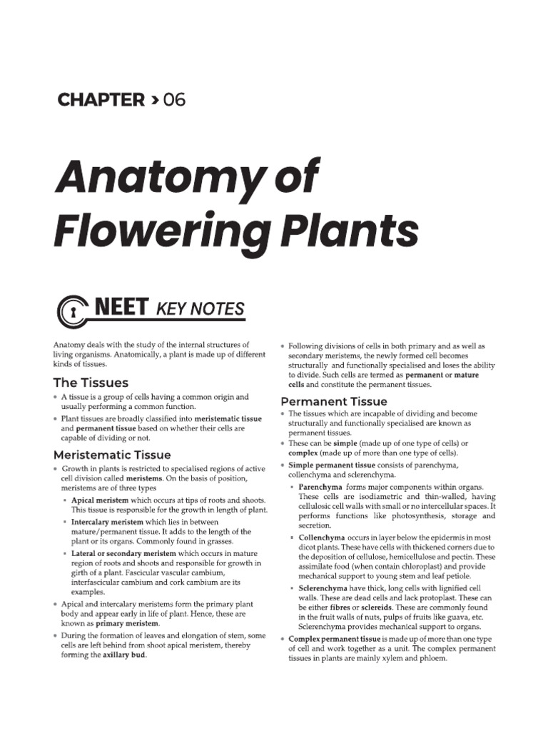 Chapter 6. Anatomy of Flowering Plants | PDF