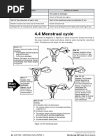 J88 Form Completion Guidelines | PDF | Labia | Sexual Intercourse