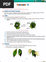 10biology Practical - Stomata | PDF | Stoma | Leaf