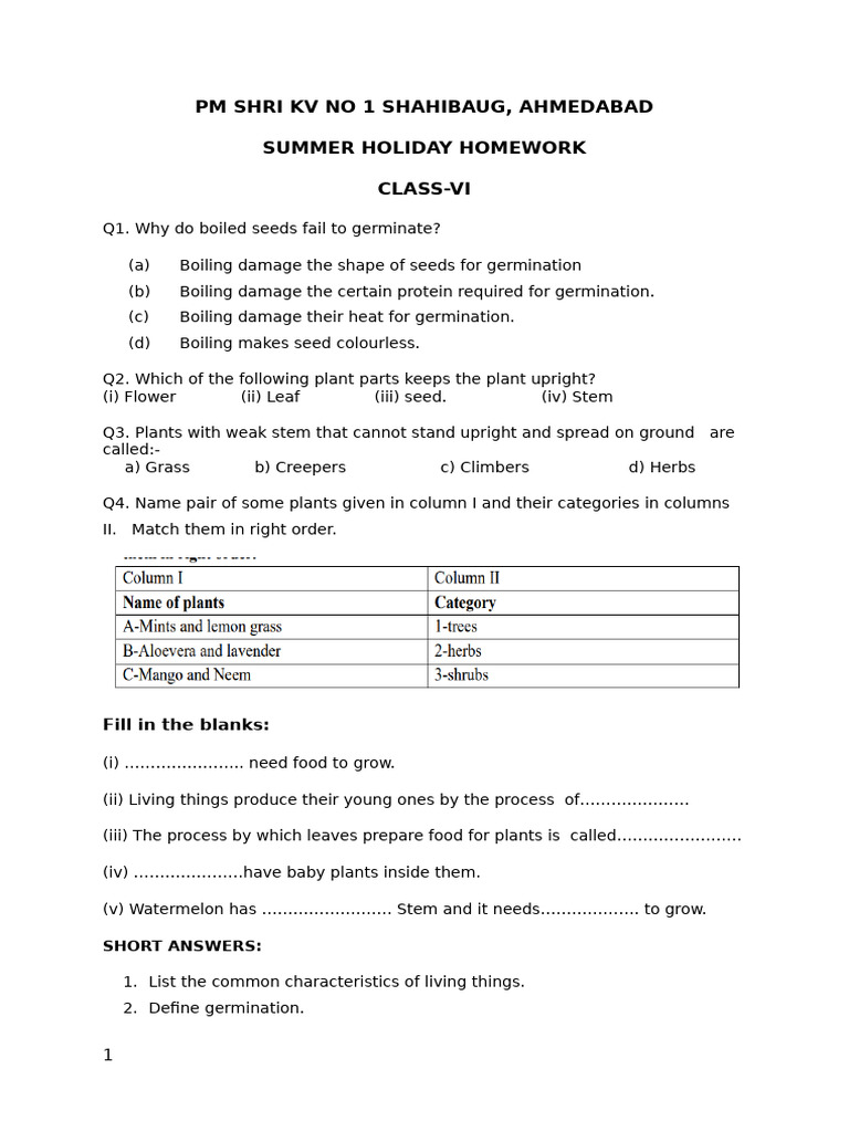 Holiday Homework (Class Vi) | PDF | Seed | Plants