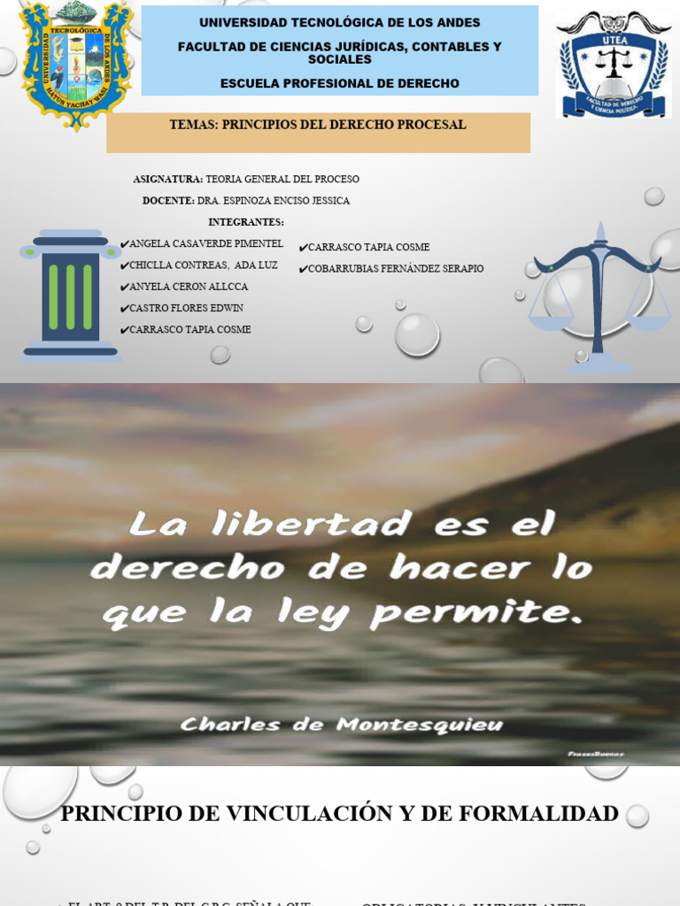 Principios Del Derecho Procesal 2 | PDF | Ley procesal | Debido al proceso