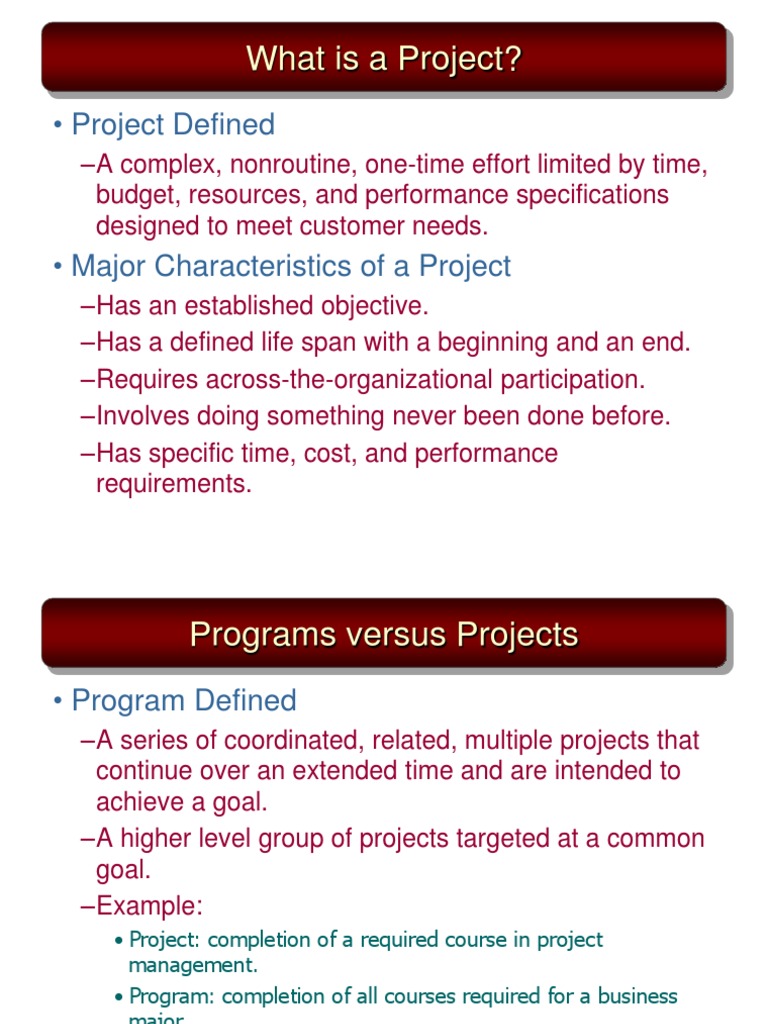 Project Overview | PDF | Project Management | Supply Chain