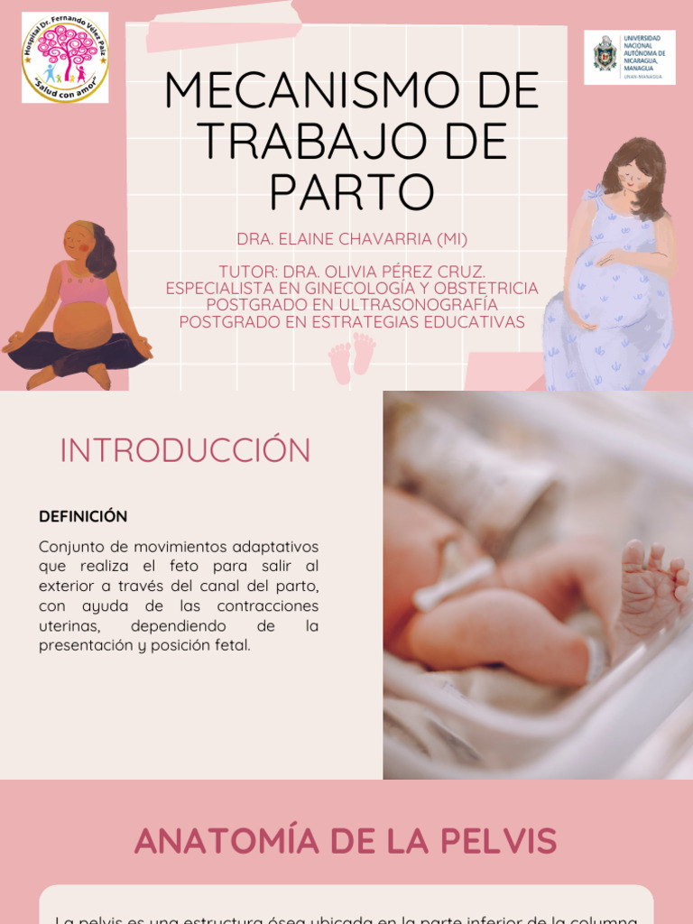 Mecanismo del Trabajo de Parto Fetal | PDF | Pelvis | Parto