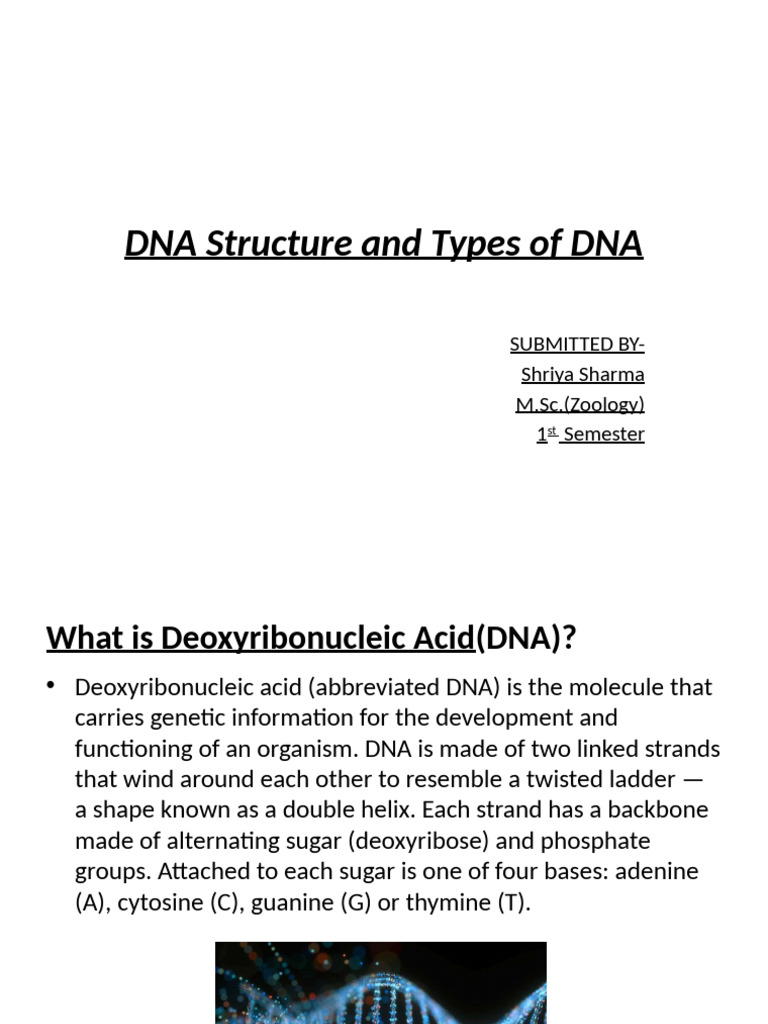 DNA Structure and Types of DNA | PDF | Nucleotides | Dna