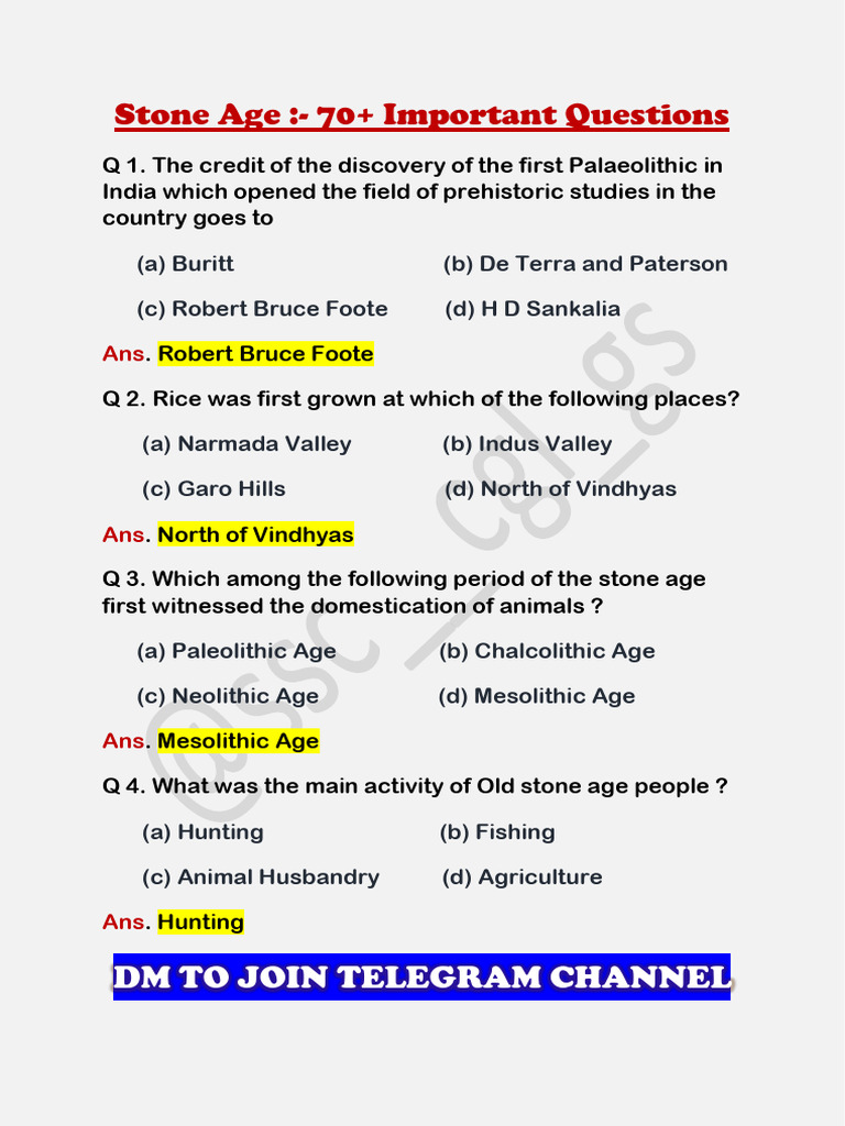 Stone Age: 70+ Key Questions & Answers | PDF | Neolithic | Stone Age