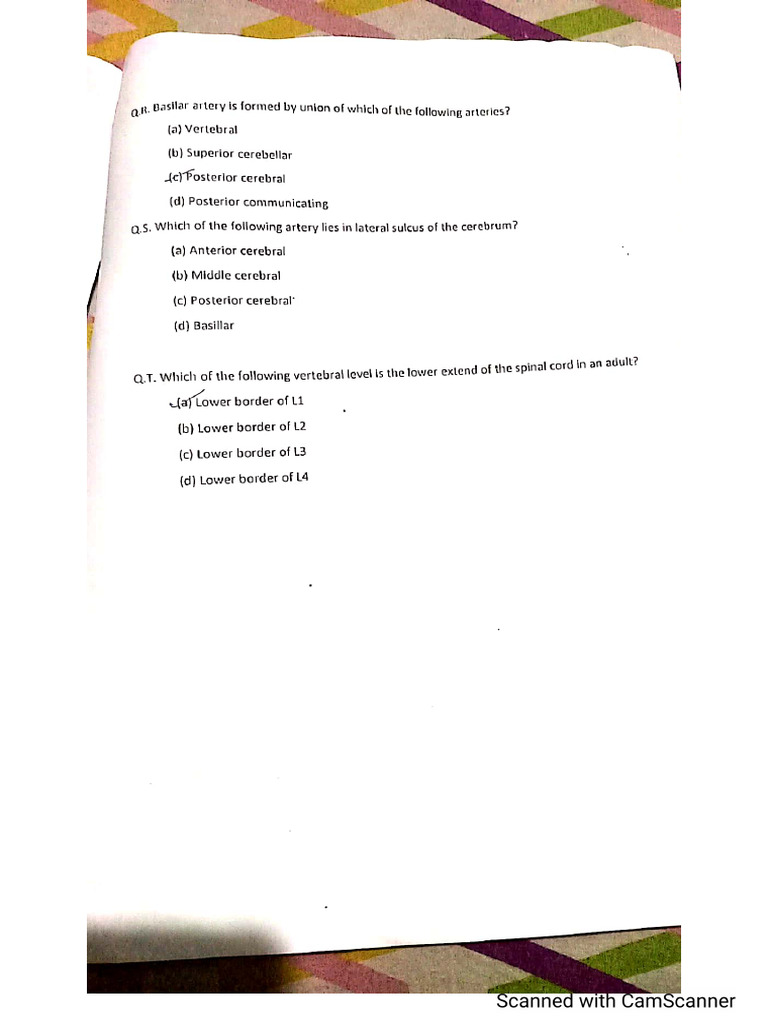 Proff Anat 2019 | PDF