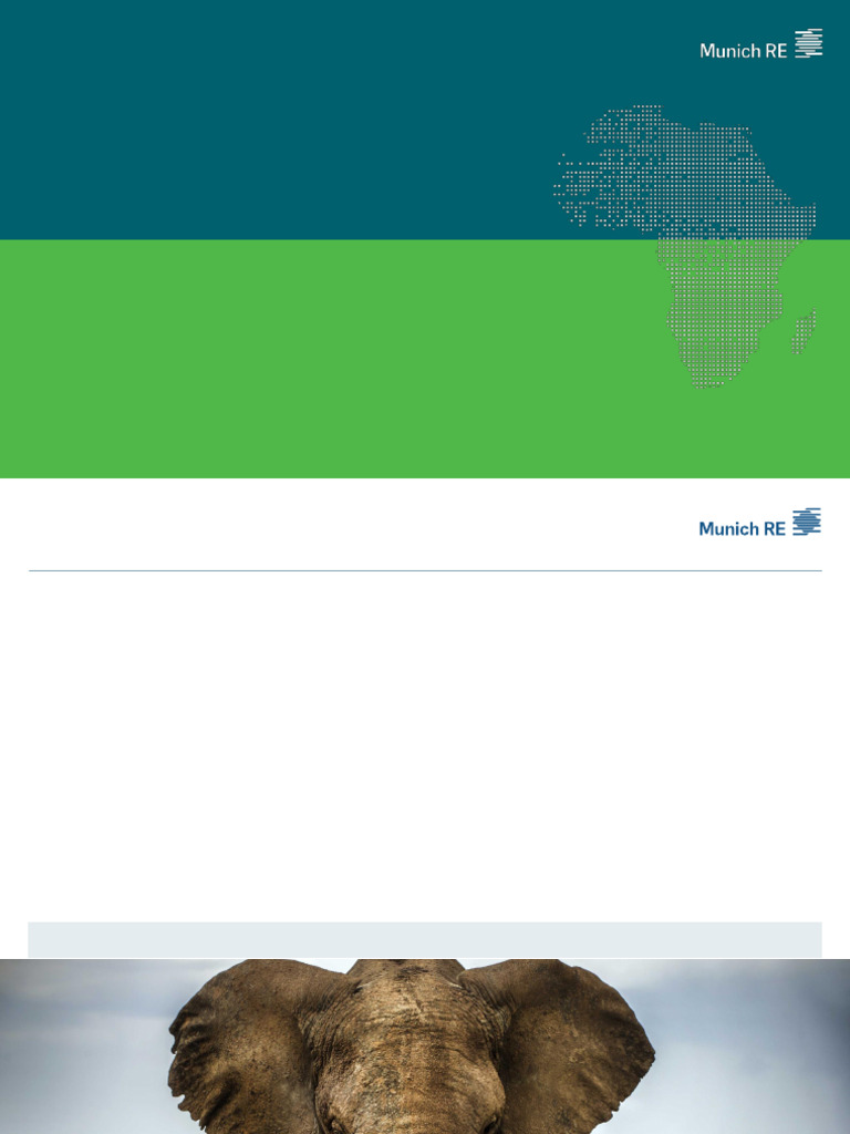 Munich Re CMI Policy Overview | PDF | Indemnity | Insurance