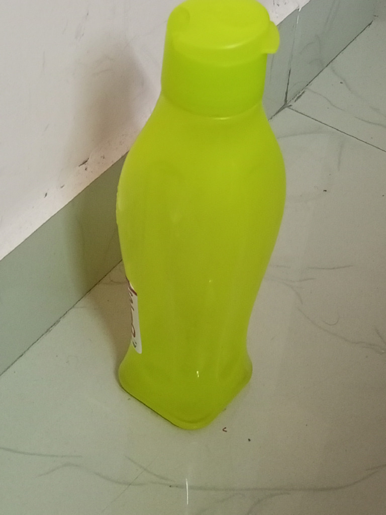 Bottle | PDF