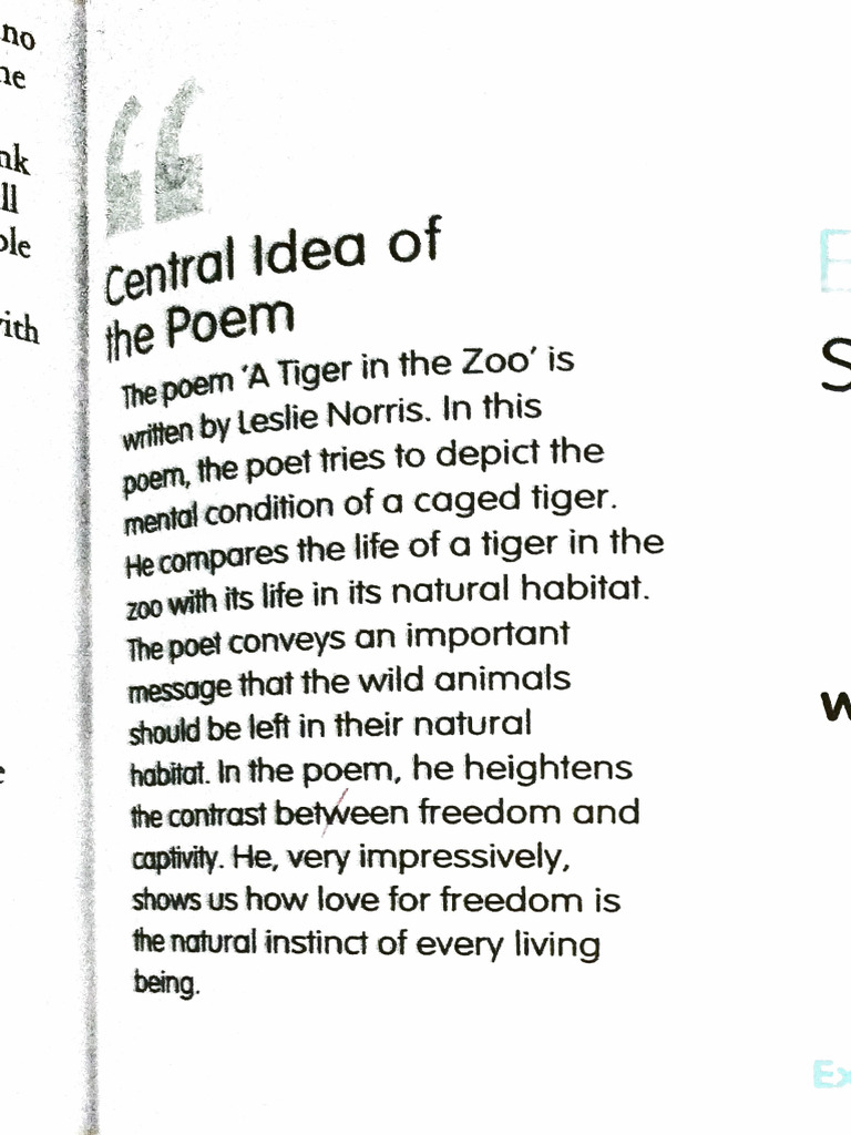 The Caged Tiger's Longing for Freedom | PDF | Tiger | Poetry